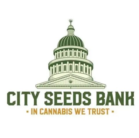City Seeds Bank - O.G. Kush - Retro Relics France